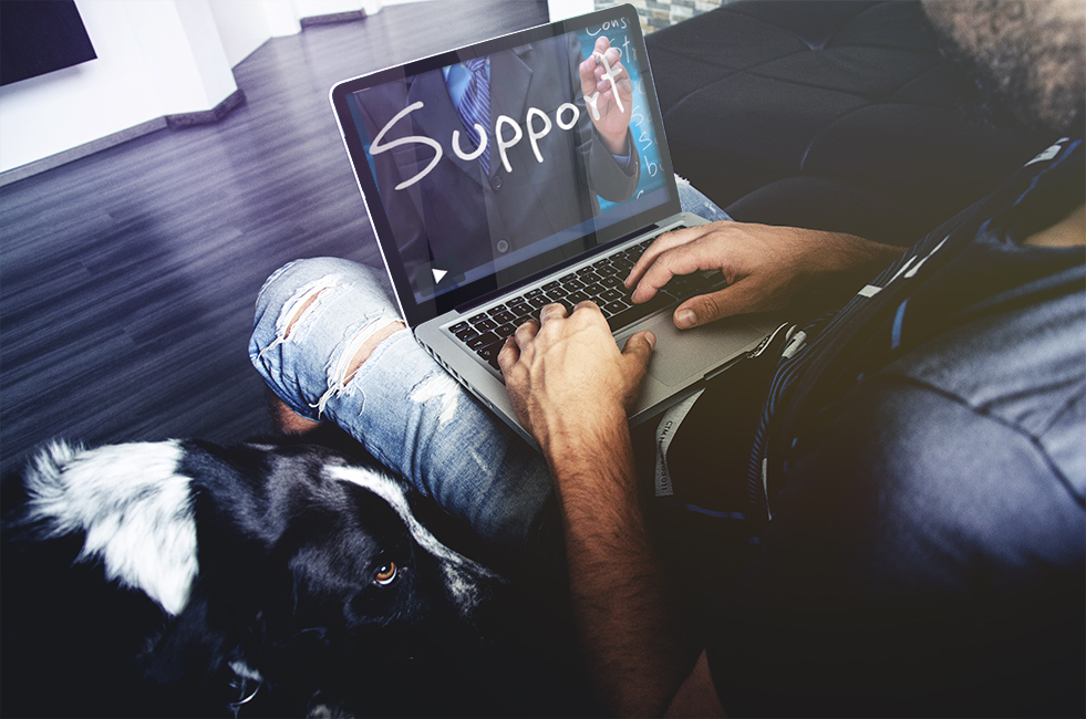 OVH Telecom – inoview web & motion design vannes morbihan